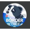 16x Border Collie - Adopt Me Game Items - Gameflip