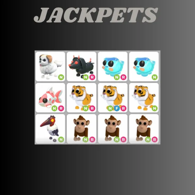 ADOPT ME BUNDLE 12X - Game Item - Gameflip