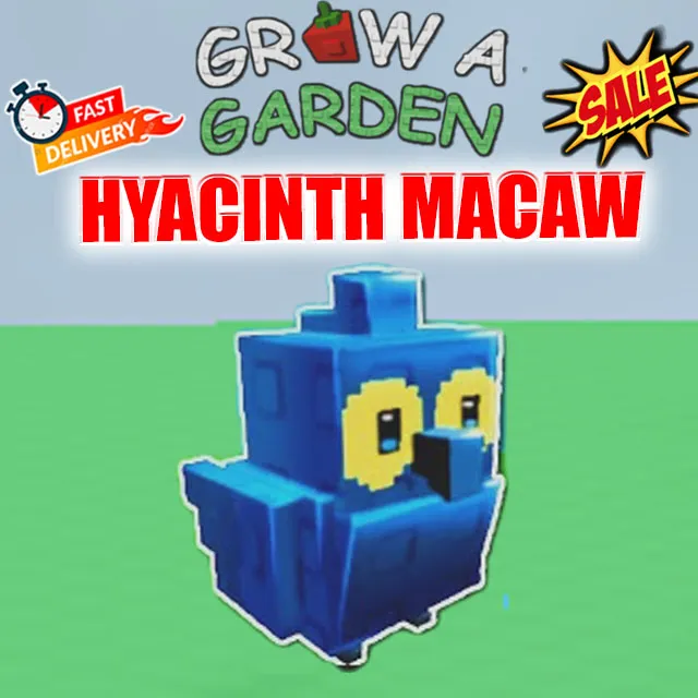 HYACINTH MACAW - Roblox Game Item - Gameflip