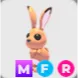 MFR Hare - Adopt Me Game Item - Gameflip