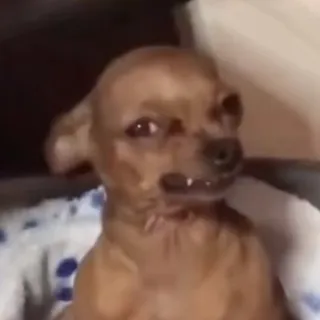 Best Roblox Seller Shop - Gameflip