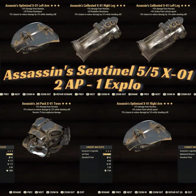 Assassins Sentinel X01 - Fallout 76 Game Items - Gameflip