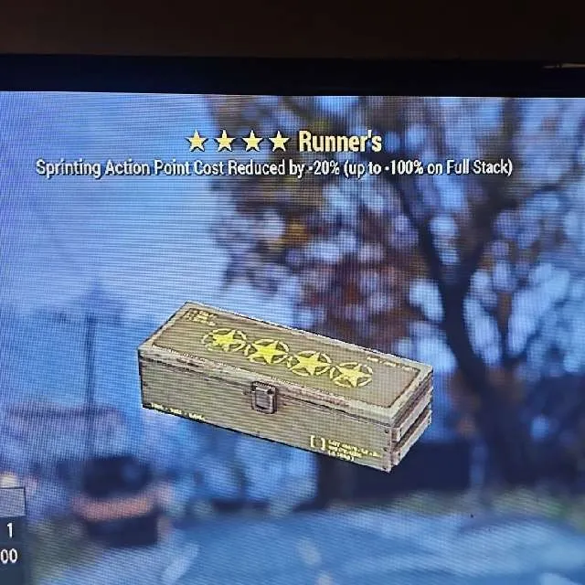 Runner's Mod - Fallout 76 Game Items - Gameflip