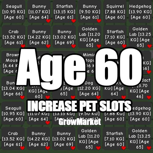 Age 60 Level - Grow a Garden (One stock only) - Grow a Garden Game Item ...