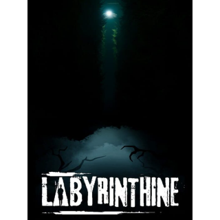 Labyrinthine - Steam Games - Gameflip