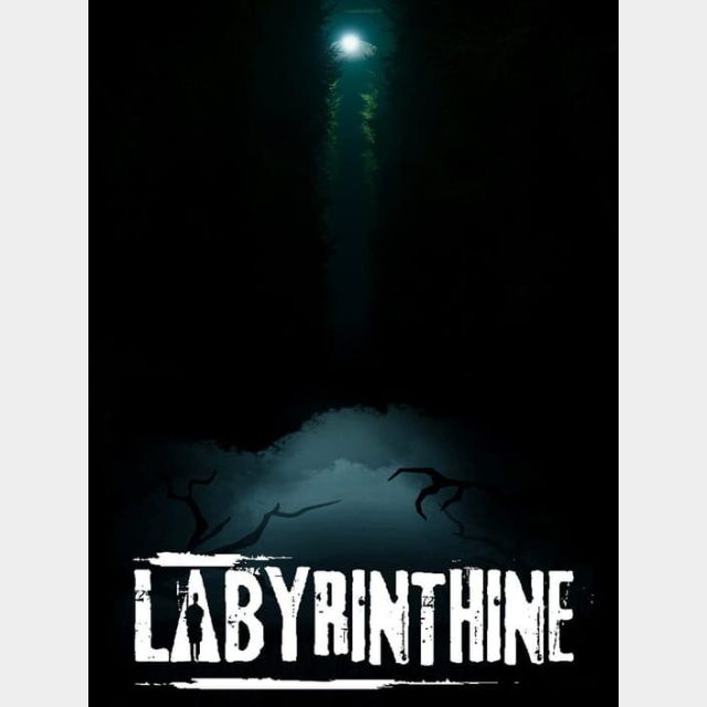 Labyrinthine - Steam Games - Gameflip