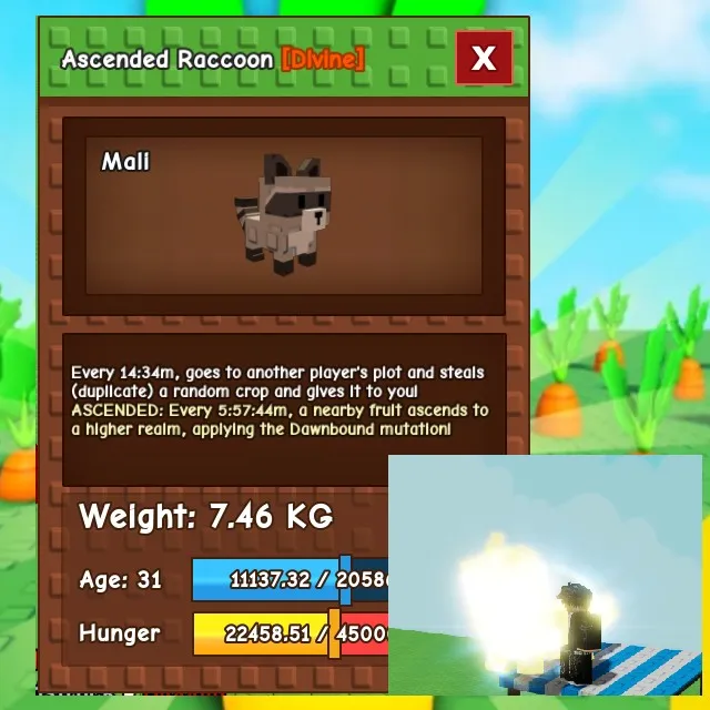 ASCENDED RACCOON GROW A GARDEN - Game Item - Gameflip