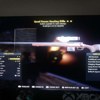 Weapon | Quad Exp Hunting Rifle - Game Items - Gameflip