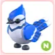 N Blue Jay - Adopt Me Game Item - Gameflip