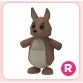 R Kangaroo - Adopt Me Game Item - Gameflip