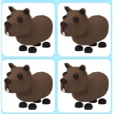 4x Capybara - Game Items - Gameflip