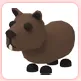 Capybara - Adopt Me Game Item - Gameflip
