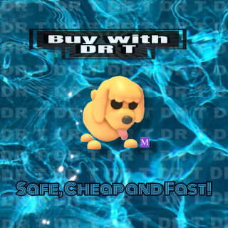 MEGA TOY POODLE - Game Items - Gameflip