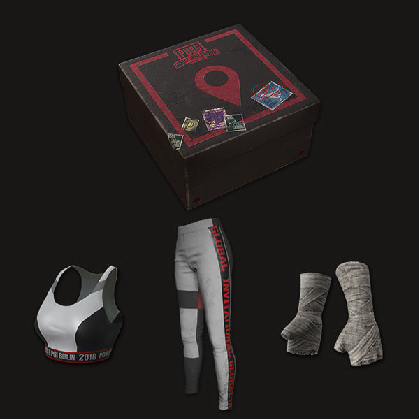 PUBG PGI TITLE SET CODE - Steam Game - Gameflip