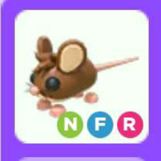 Pet | Nfr Field Mouse - Game Items - Gameflip