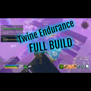 Bundle | Twine Endurance +3 Ssd - Game Items - Gameflip
