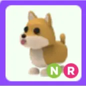 Pet | Shiba Inu NR Neon Ride - Roblox Game Items - Gameflip