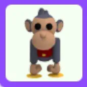 Pet | Toy Monkey Adopt Me - Adopt Me Game Items - Gameflip