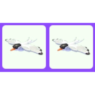 Pet | Arctic Tern Bundle x2 - Game Items - Gameflip