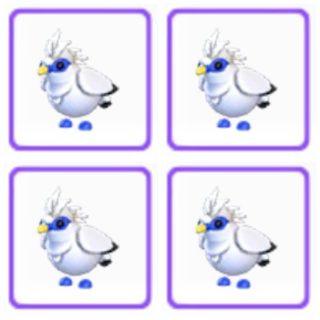 Pet | Bali Starling Bundle x4 - Game Items - Gameflip