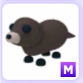Pet | Otter M Mega Adopt Me - Game Items - Gameflip