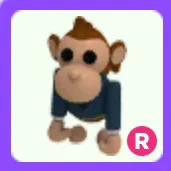 Pet | Business Monkey R - Adopt Me Game Items - Gameflip