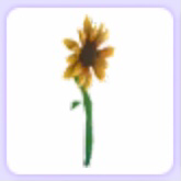 Limited | Sunflower Rattle AdoptMe - Game Items - Gameflip