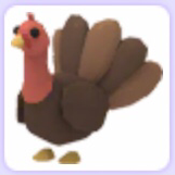 Pet | Turkey Adopt Me - Game Items - Gameflip