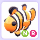 Pet | Clownfish NR Neon Ride - Game Items - Gameflip