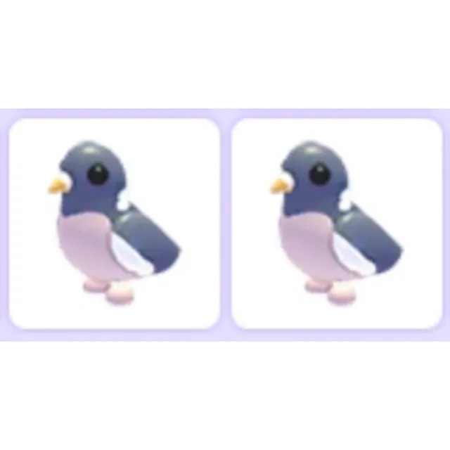 Pet | Wood Pigeon x2 - Roblox Game Items - Gameflip