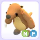 Pet | Ground Sloth NF Neon Fly - Adopt Me Game Items - Gameflip