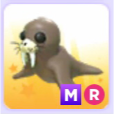 Pet | Walrus MR Mega - Game Items - Gameflip