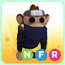 Pet | NFR Ninja Monkey - Game Items - Gameflip