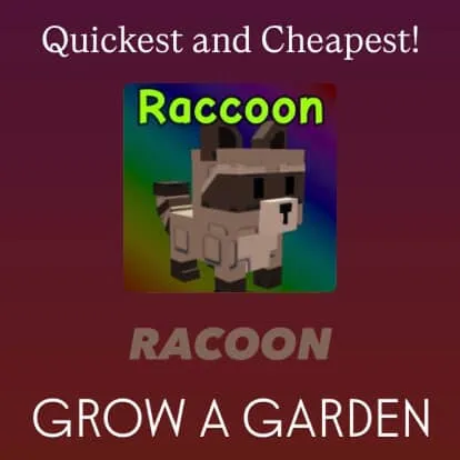 Racoon - Game Item - Gameflip