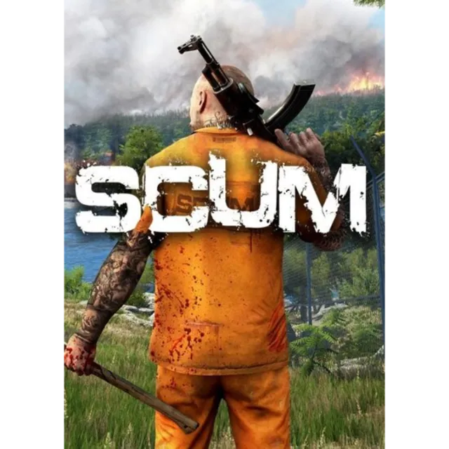 Scum - 100000 usd in game money (Any server) - Scum Game Item - Gameflip