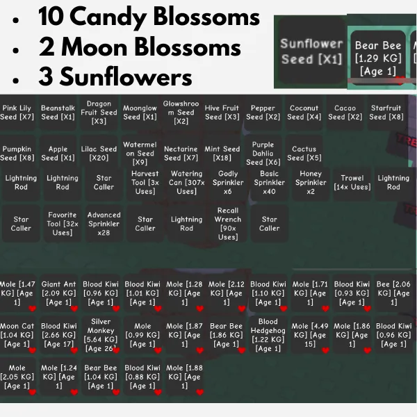 GROW A GARDEN 10 CANDY BLOSSOM ACCOUNT - CHECK DESCRIPTION - Grow a ...