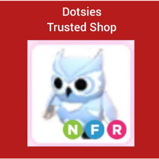 Pet | NFR Snow Owl - Game Items - Gameflip