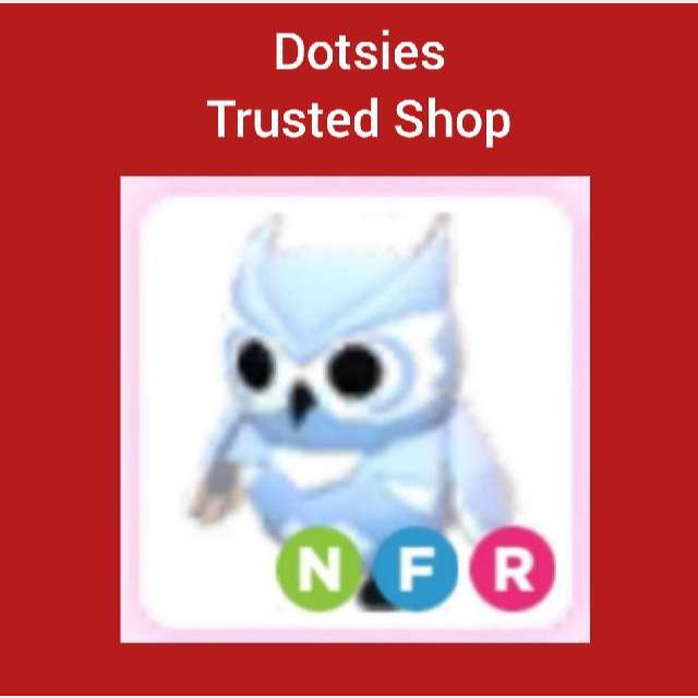 Pet | NFR Snow Owl - Game Items - Gameflip