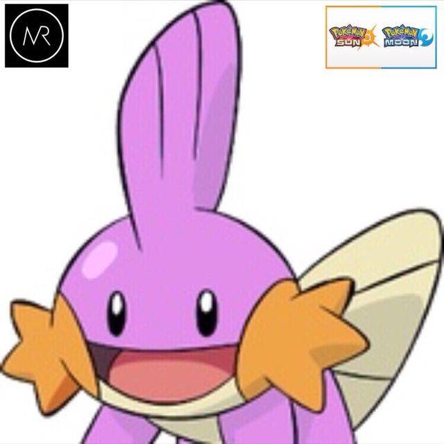 Shiny 6IV Mudkip Pokemon Sun and Moon 3DS Nintendo Alola Alolan ...