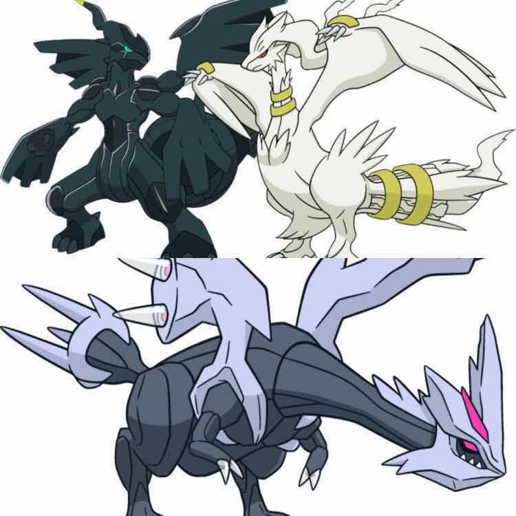Zekrom And Reshiram And Kyurem