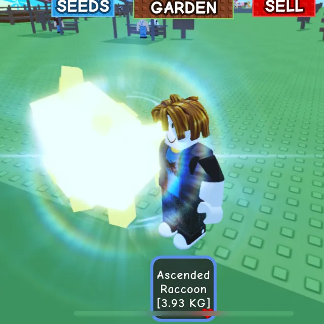 ASCENDED RACCOON - Grow a Garden Game Item - Gameflip