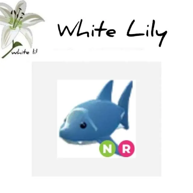 NR Shark - Adopt Me Game Items - Gameflip