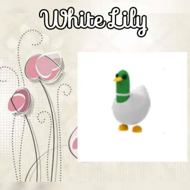 Silly Duck - Adopt Me Game Item - Gameflip