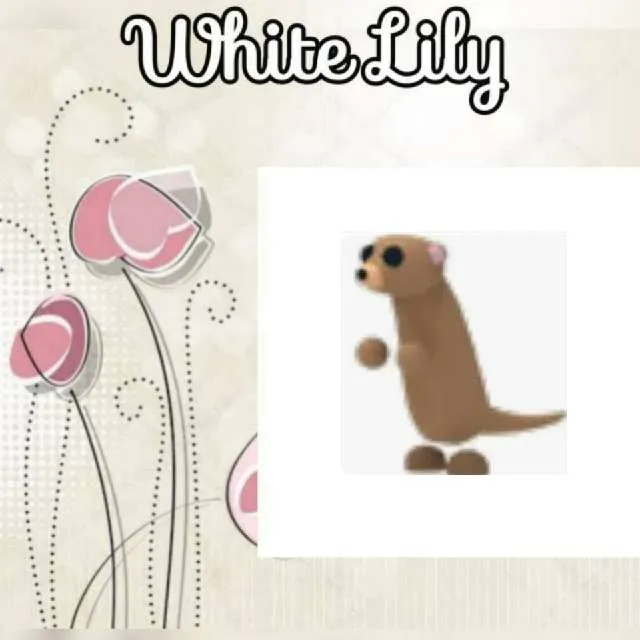 Meerkat - Adopt Me Game Item - Gameflip