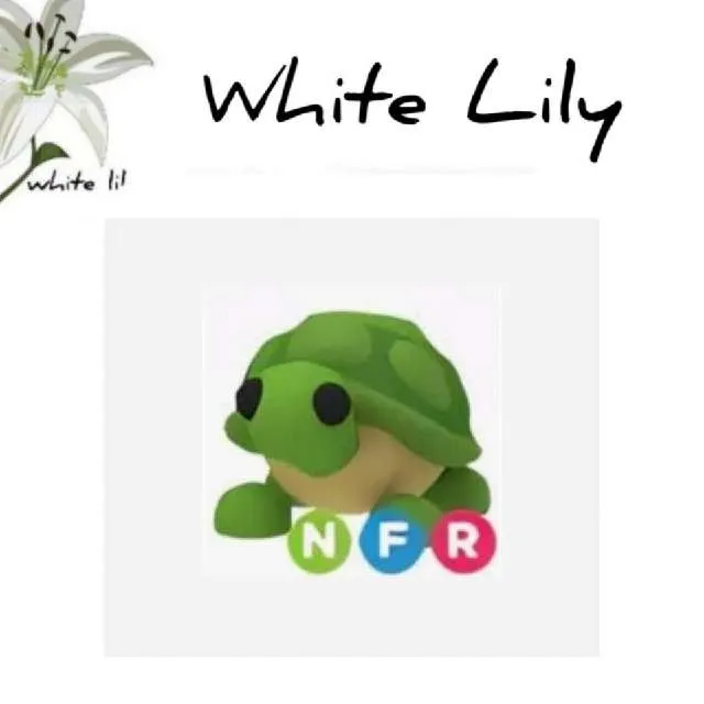 NFR Turtle - Adopt Me Game Item - Gameflip