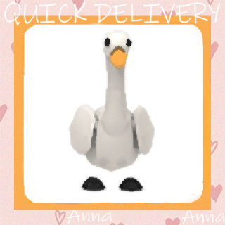 Limited | 16x Swan - Game Items - Gameflip