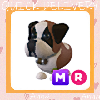 Limited | MR St. Bernard - Game Items - Gameflip