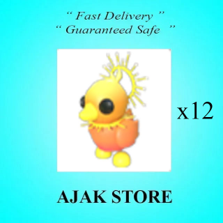 x12 Sunrise Duckling - Game Items - Gameflip