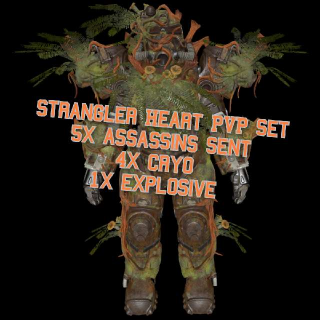 Apparel | Strangler Heart PVP - Game Items - Gameflip