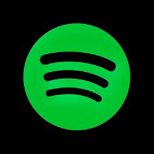 Spotify Lifetime On Your Private Account - Other - Gameflip